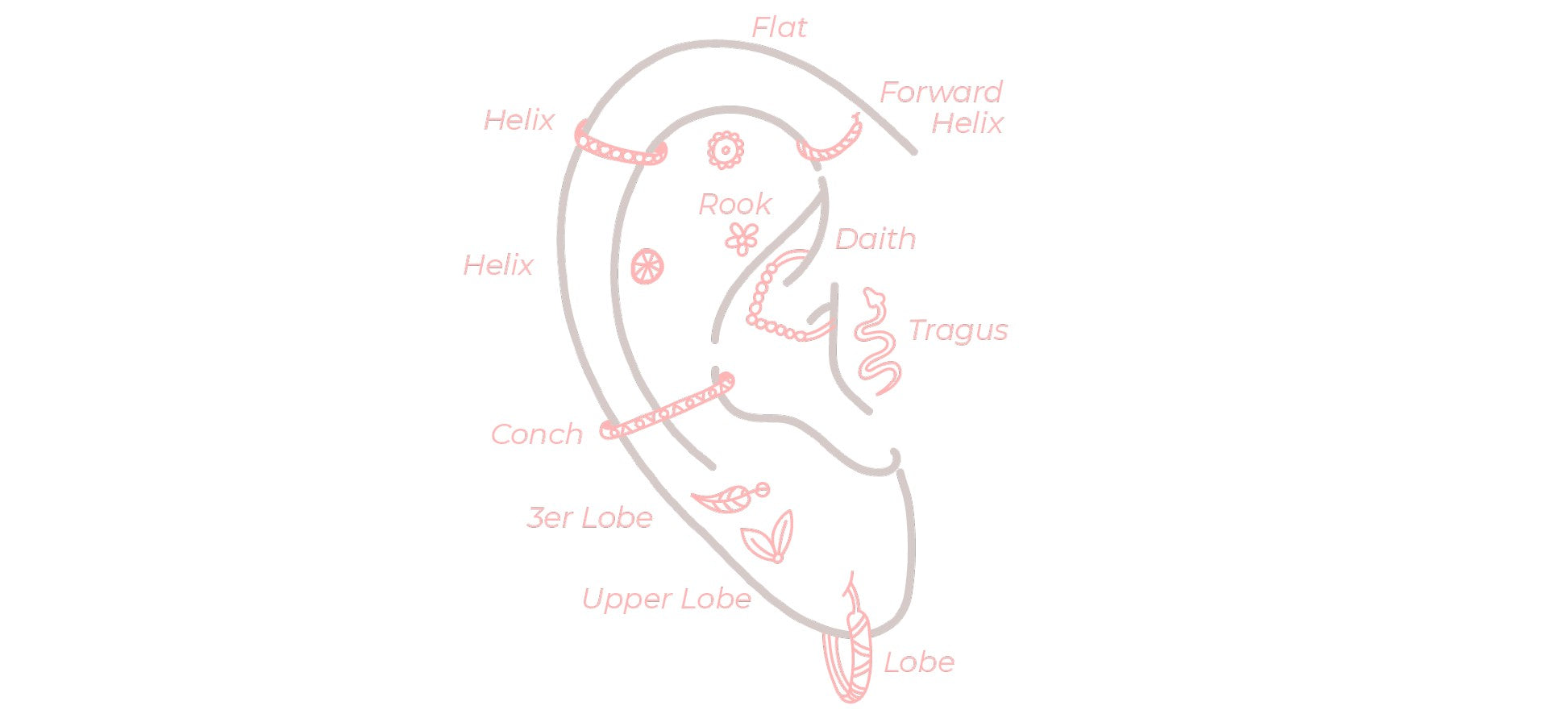 Ear Piercings – Helix Body Jewelry LLC